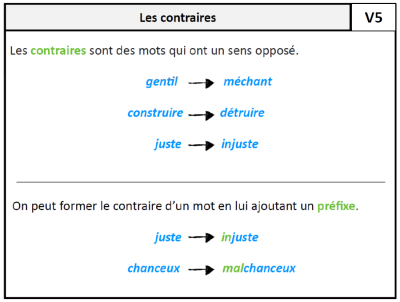 V5 - Les contraires (antonymes)