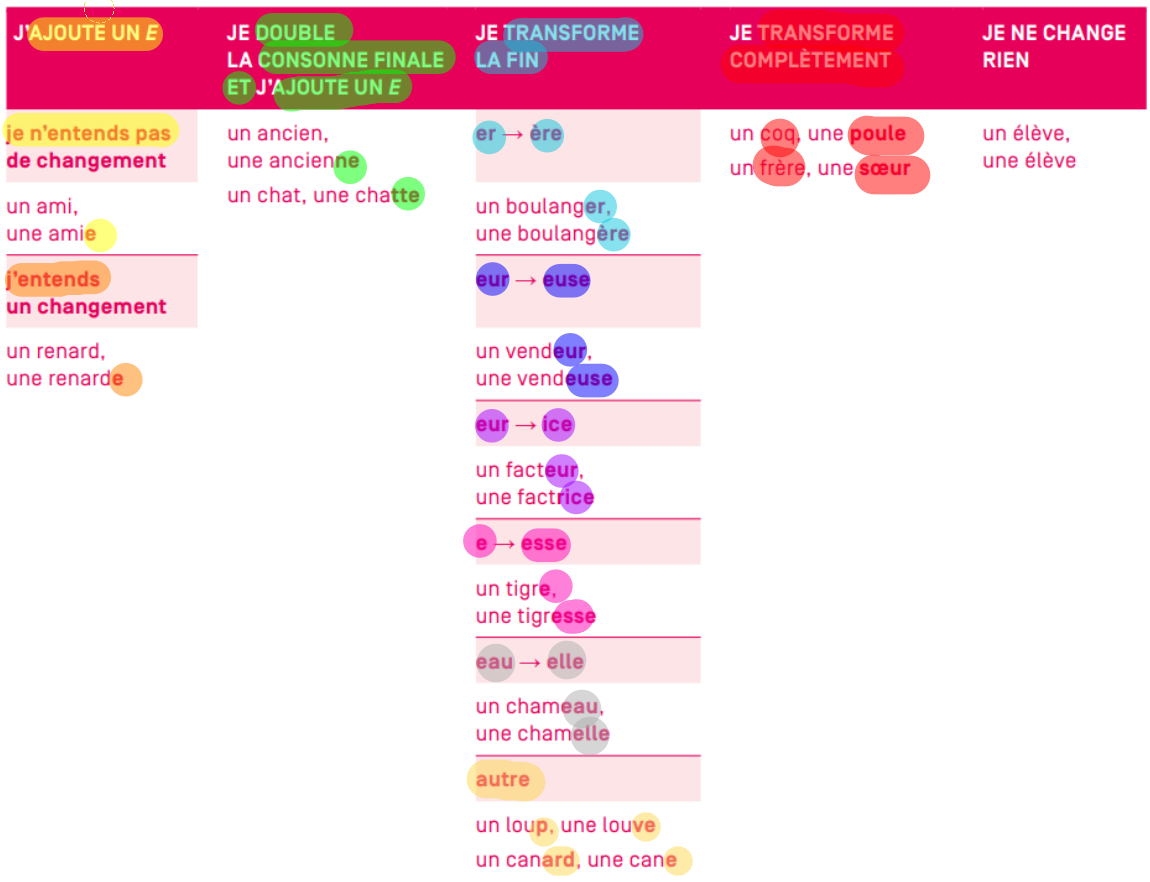 O3 - Le féminin des noms et des adjectifs