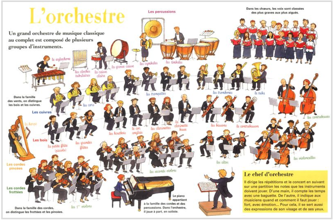 Les familles instrumentales et l'orchestre symphonique