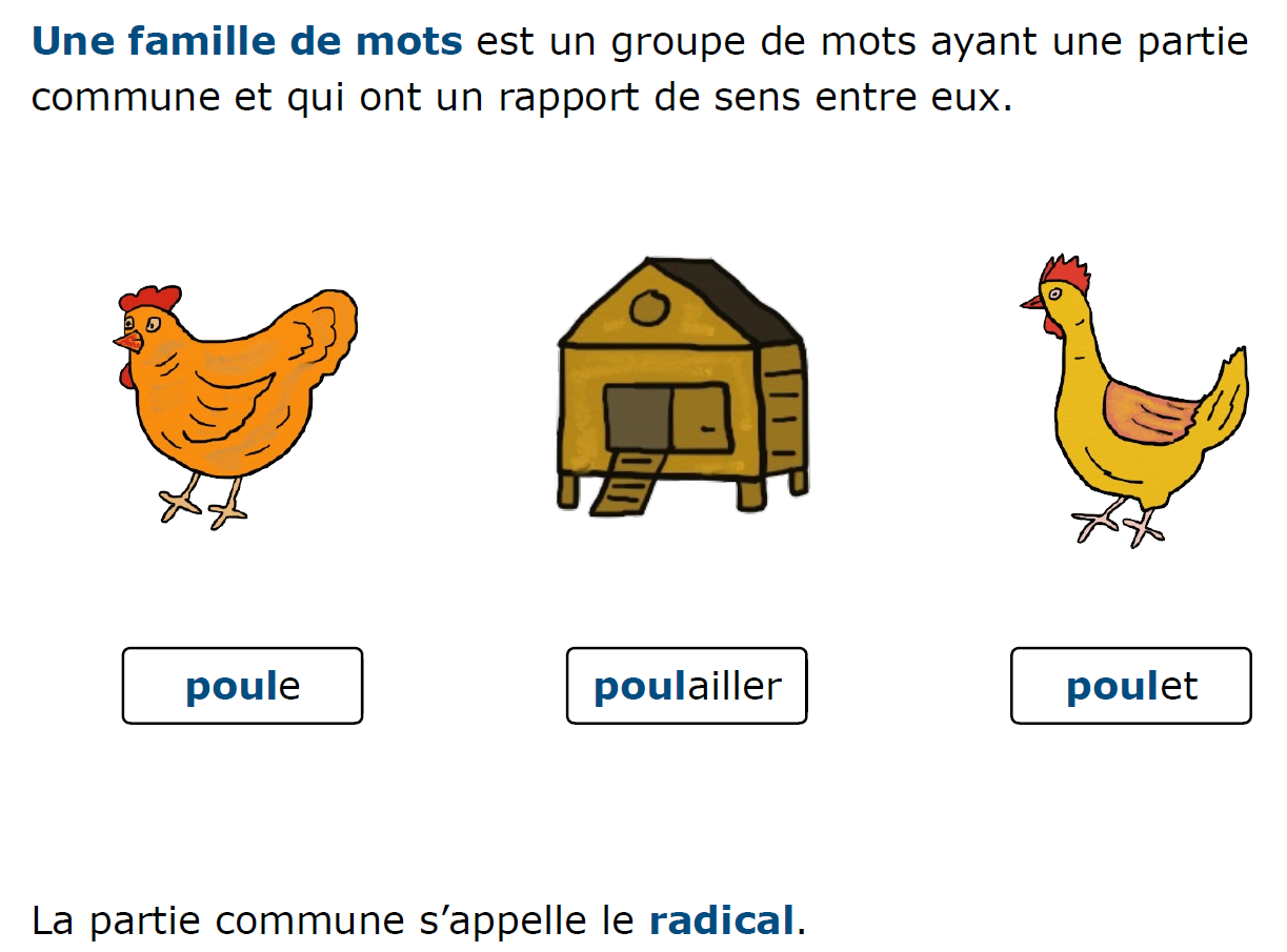 Leçon 23 - Les familles de mots